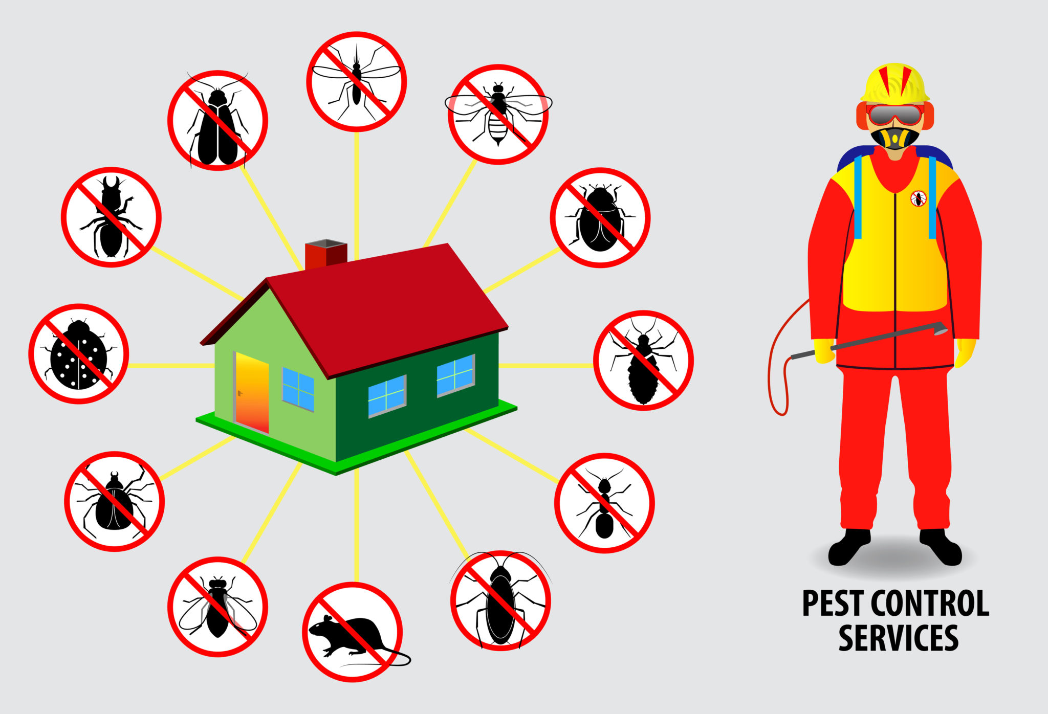 Our Sevices In Marion, OH | Roach Extermination In Mount Gilead, OH